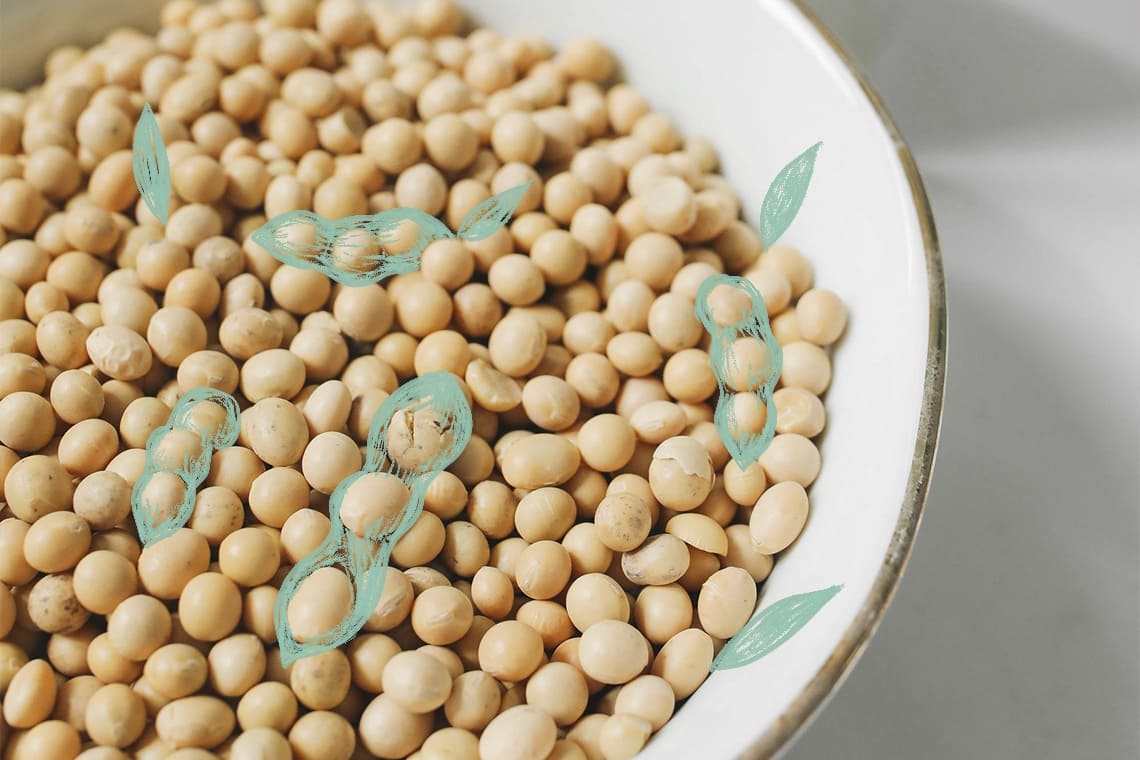 Lecitina de soja: propiedades | Blog de Arenal